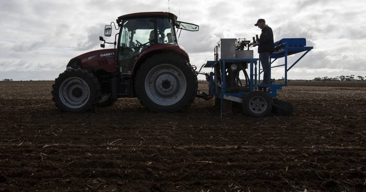 Research | Australian Grain Technologies