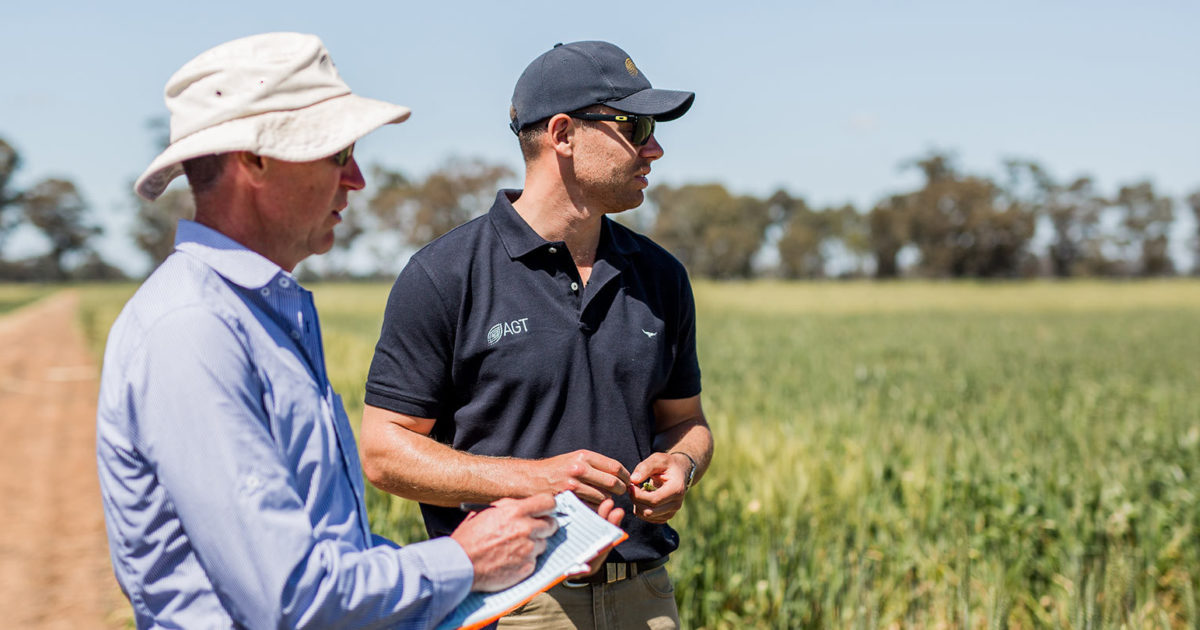 The Science of Plant Breeding | Australian Grain Technologies