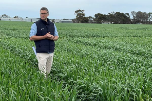 News | Australian Grain Technologies