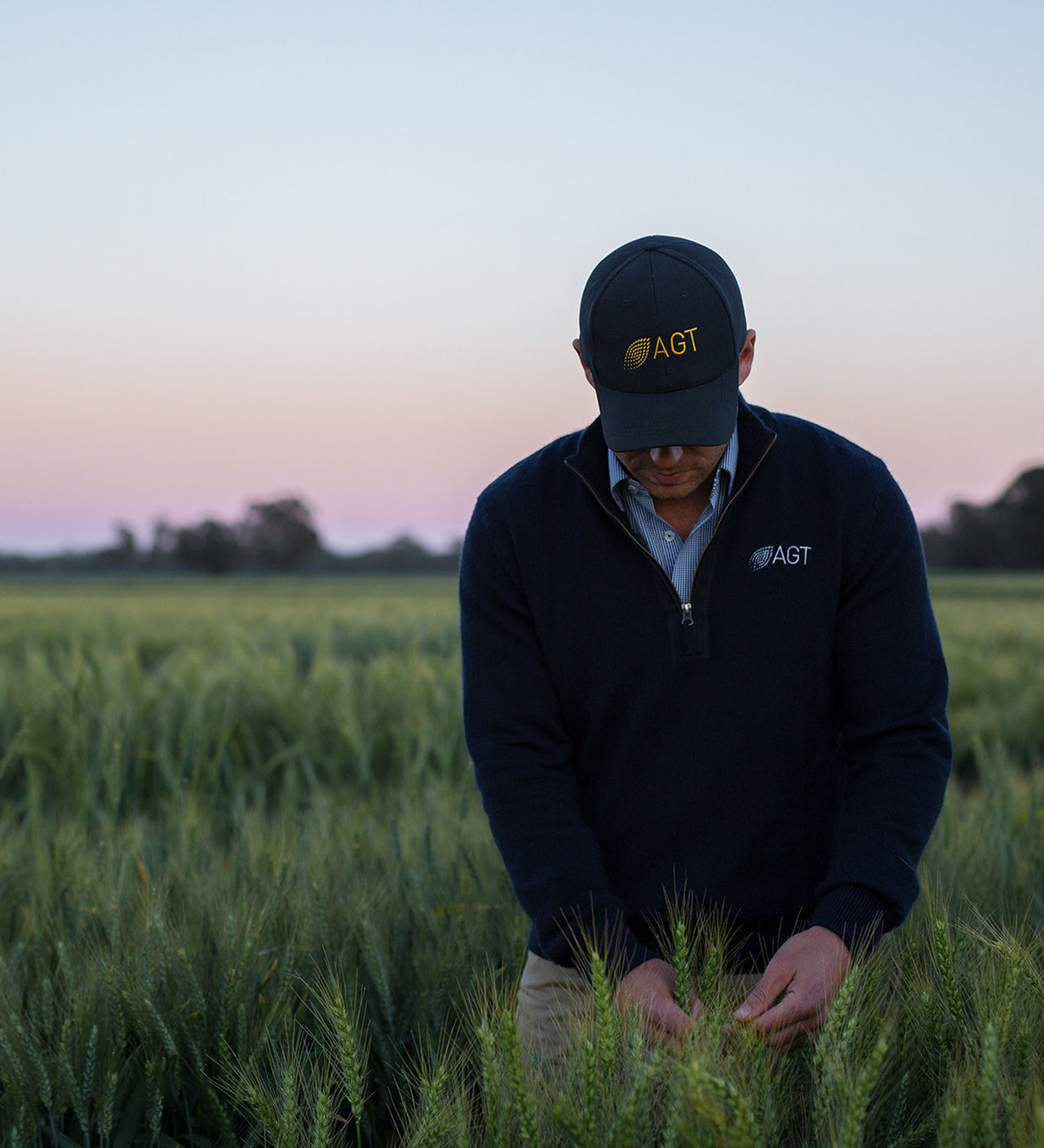 Australian Grain Technologies | Australia's Largest Plant Breeding…